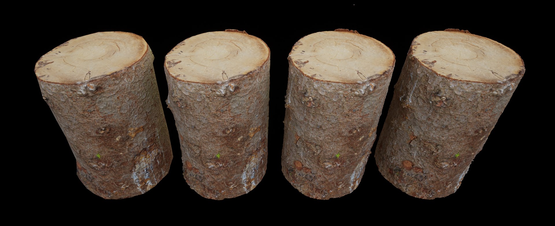 3D Model 3D-SCANNED Tree Log - TurboSquid 1935937
