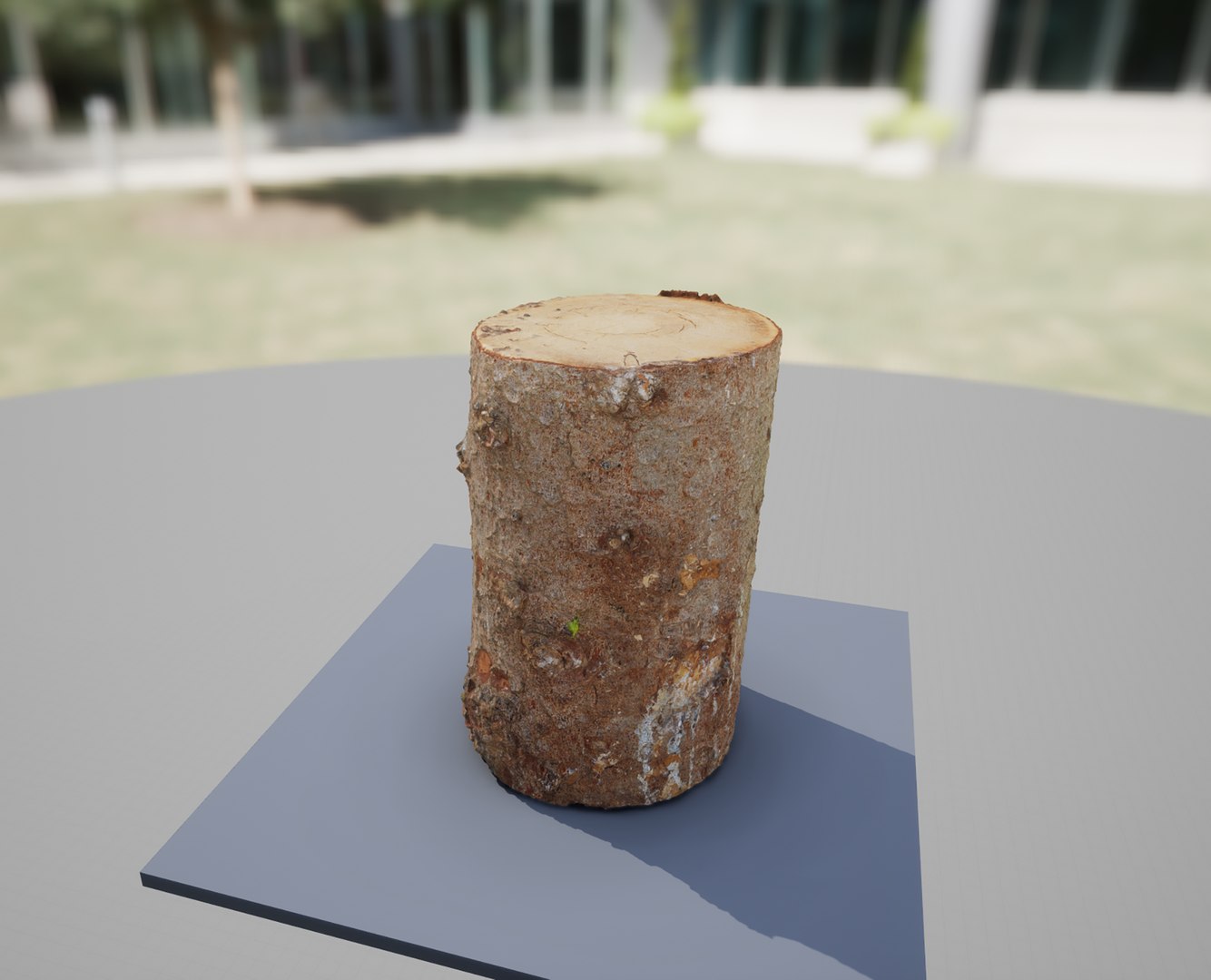 3D Model 3D-SCANNED Tree Log - TurboSquid 1935937