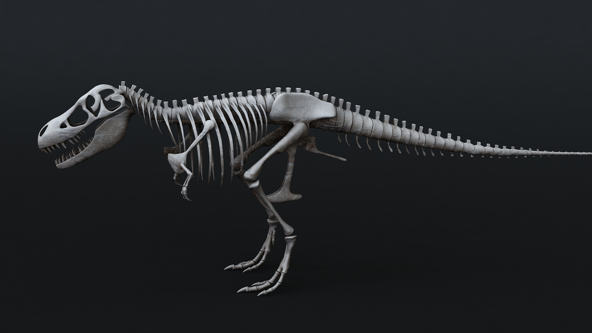 3d Model Rigged Tyrannosaurus Rex Skeleton Bones