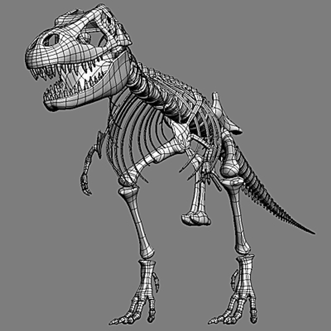 3d Model Rigged Tyrannosaurus Rex Skeleton Bones