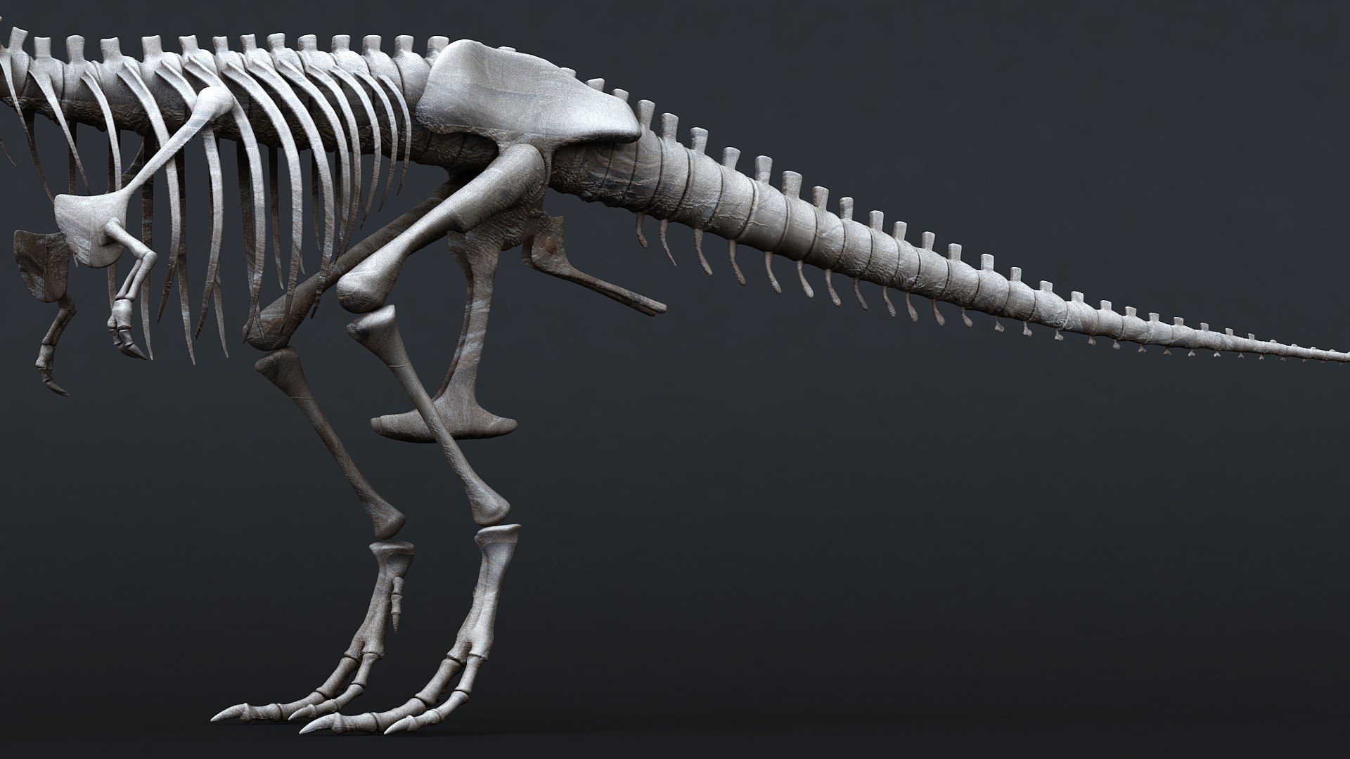 3d Model Rigged Tyrannosaurus Rex Skeleton Bones