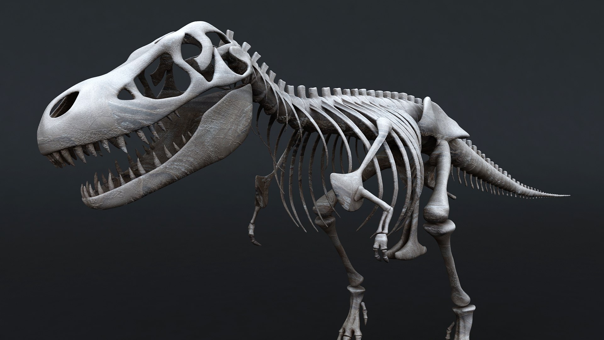 3d Model Rigged Tyrannosaurus Rex Skeleton Bones