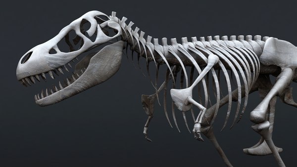 3d model rigged tyrannosaurus rex skeleton bones