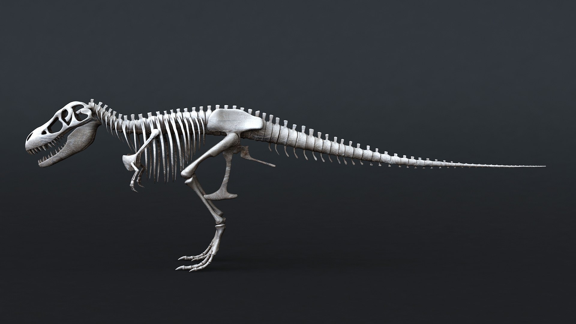 3d Model Rigged Tyrannosaurus Rex Skeleton Bones