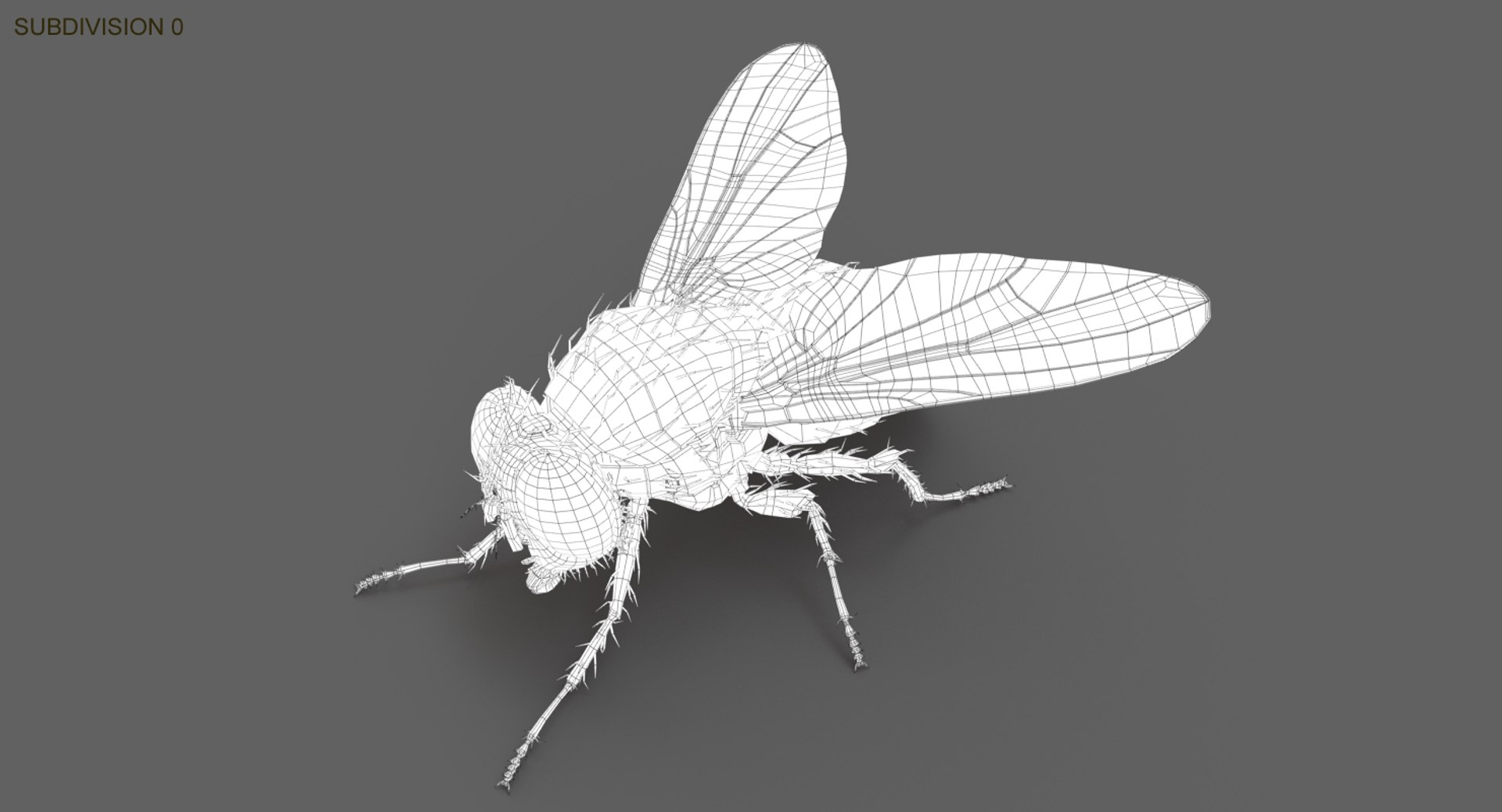 3D Model Housefly Rigged Animations 2 - TurboSquid 1342829
