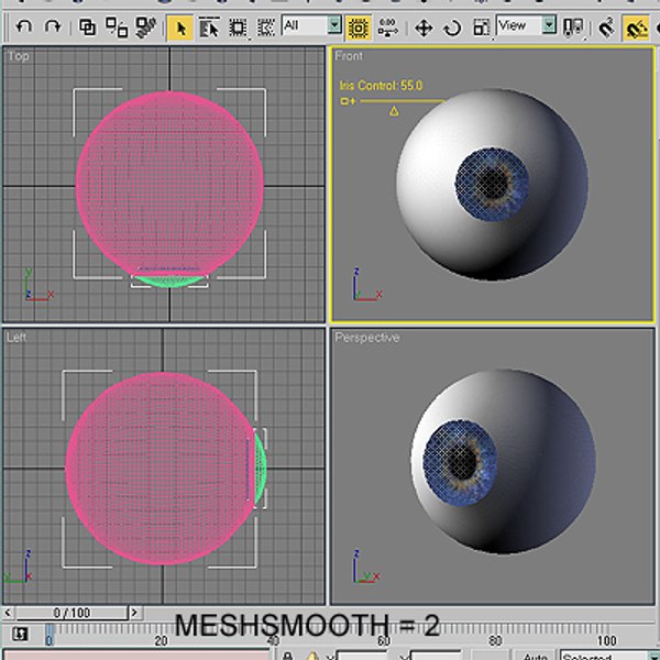 3d eyeball cornea model