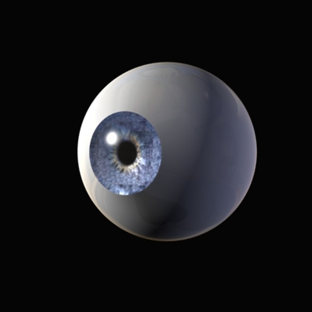 3d Eyeball Cornea Model