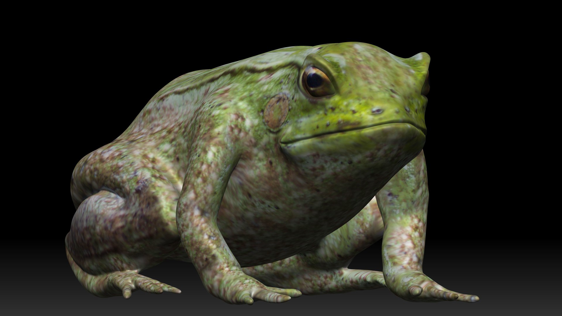 3D Tree Frog model - TurboSquid 1734426