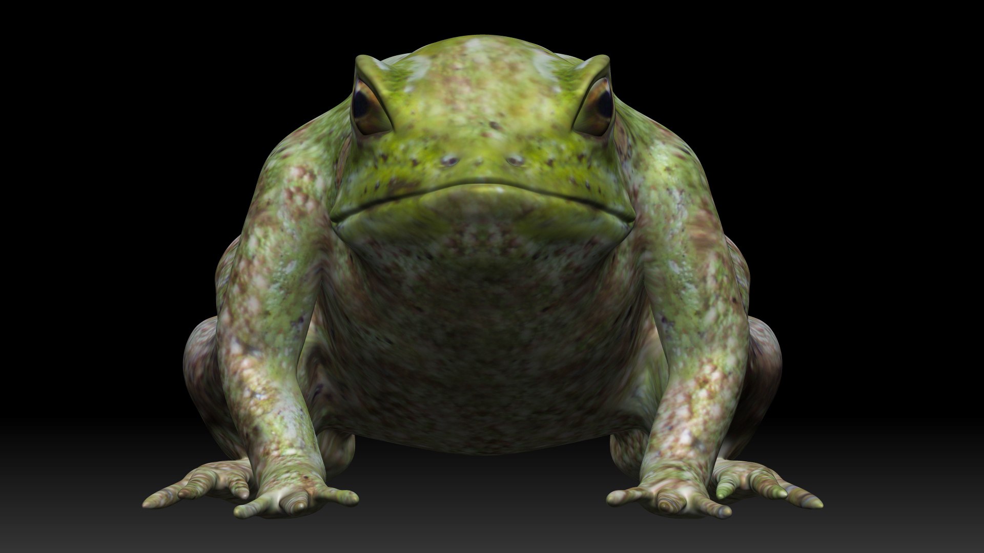 3D Tree Frog model - TurboSquid 1734426