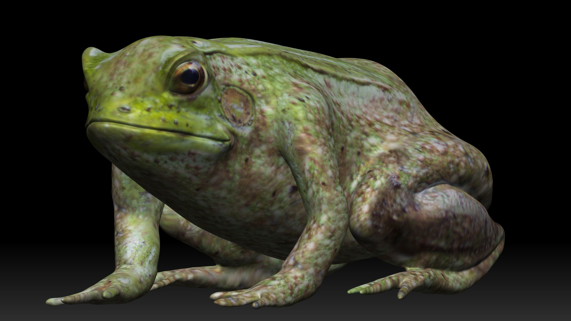3D Tree Frog model - TurboSquid 1734426