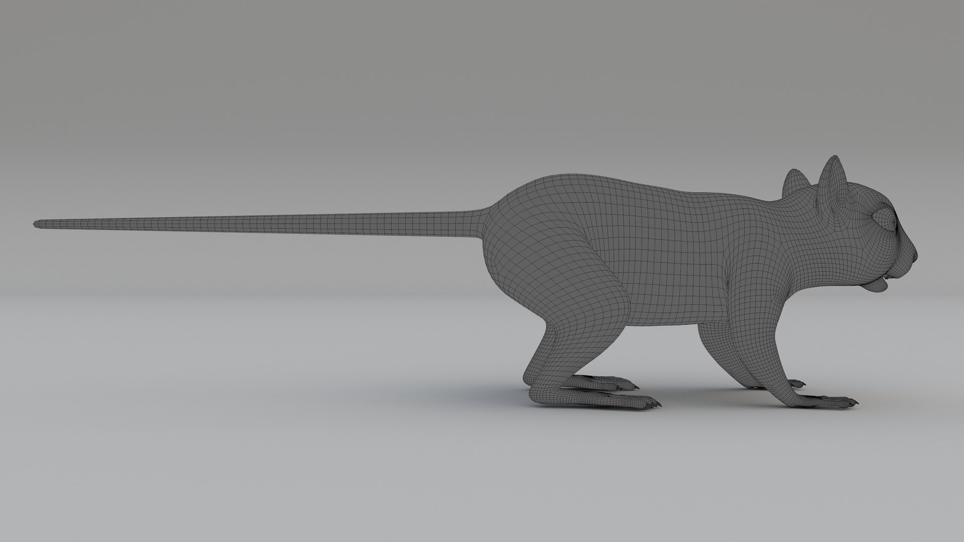 3D Squirrel FUR ANIMATED Model - TurboSquid 1963461