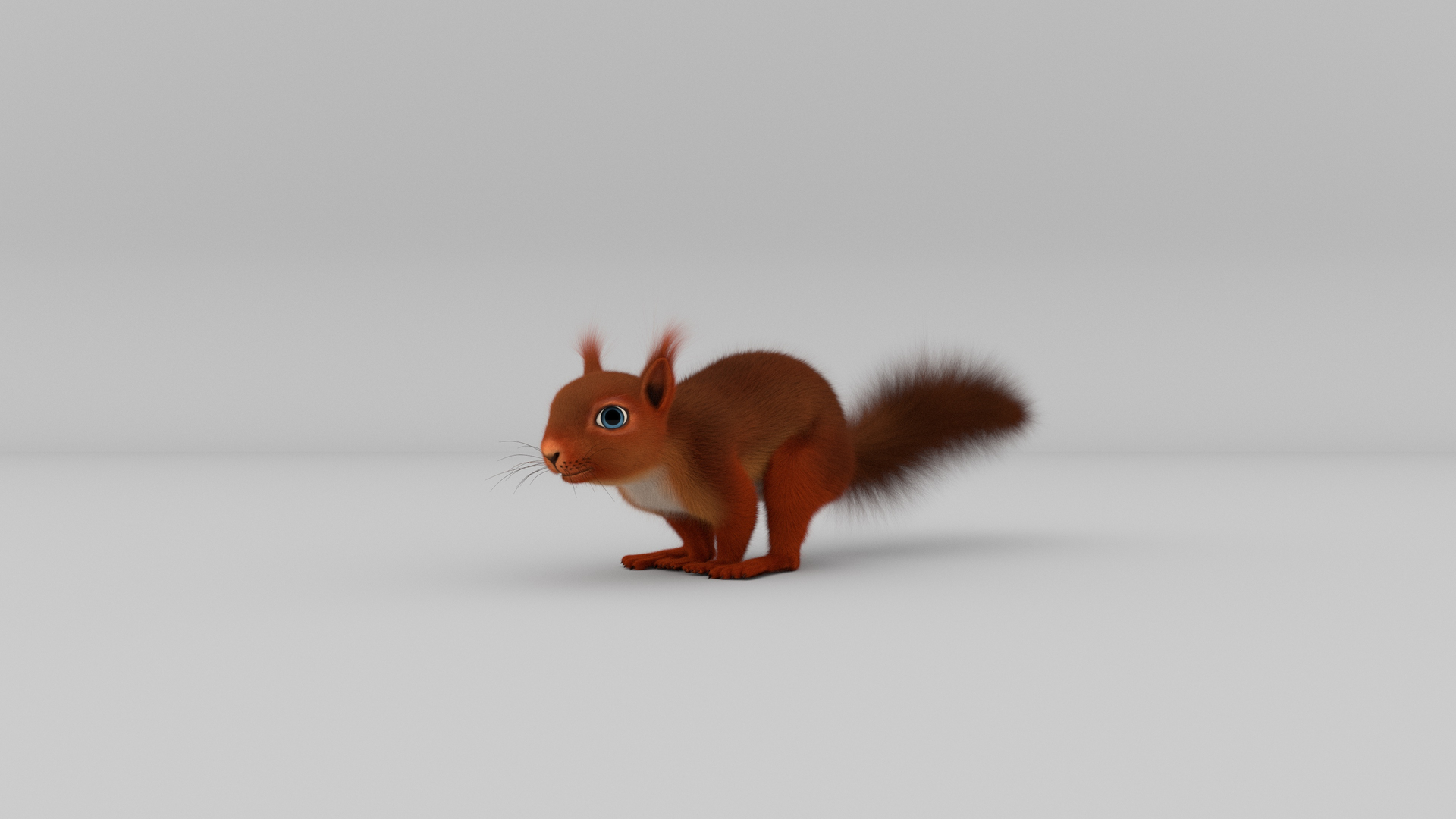3D Squirrel FUR ANIMATED Model - TurboSquid 1963461