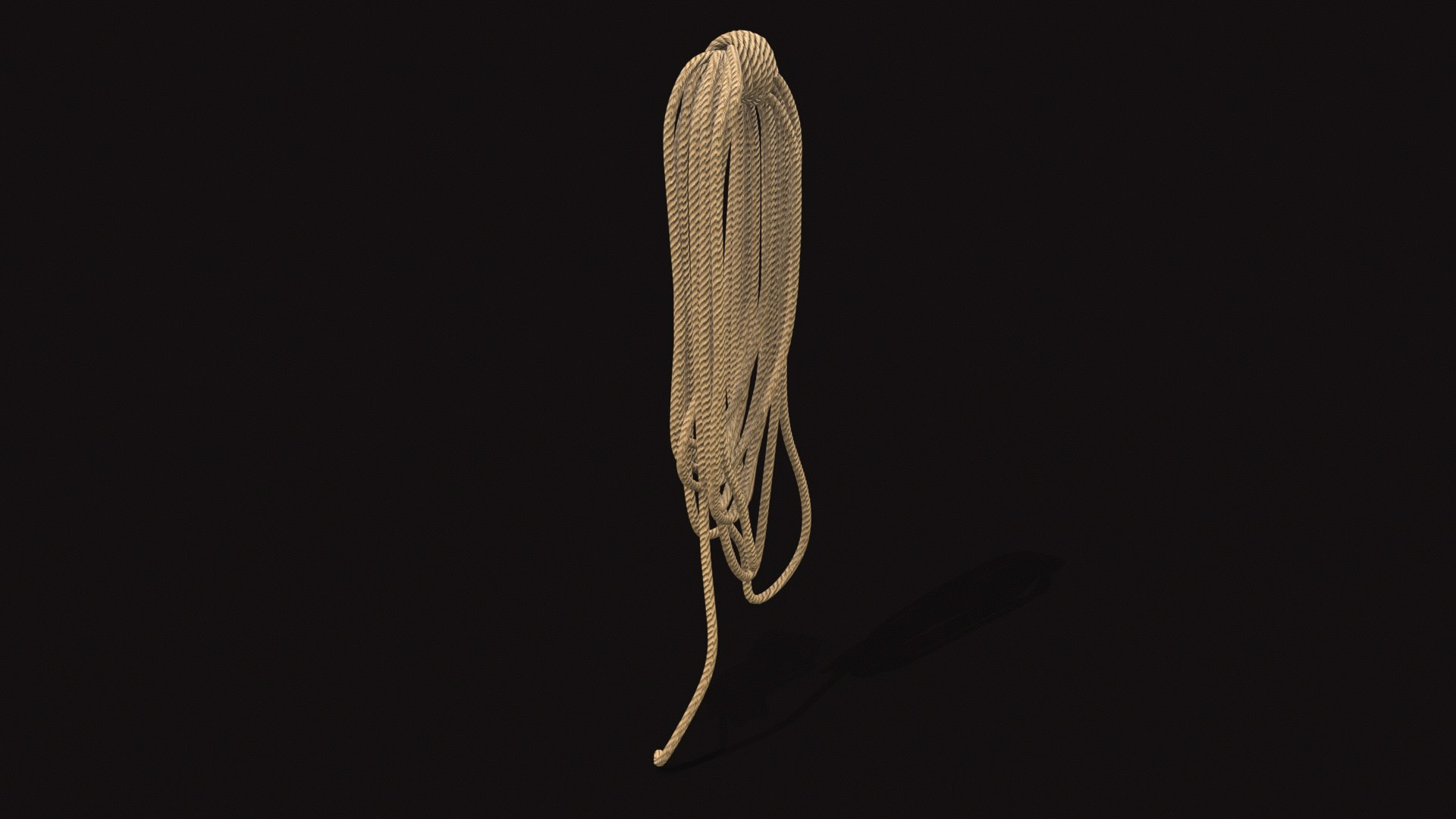 3D Medieval Rope Bundle 02 - TurboSquid 2326631