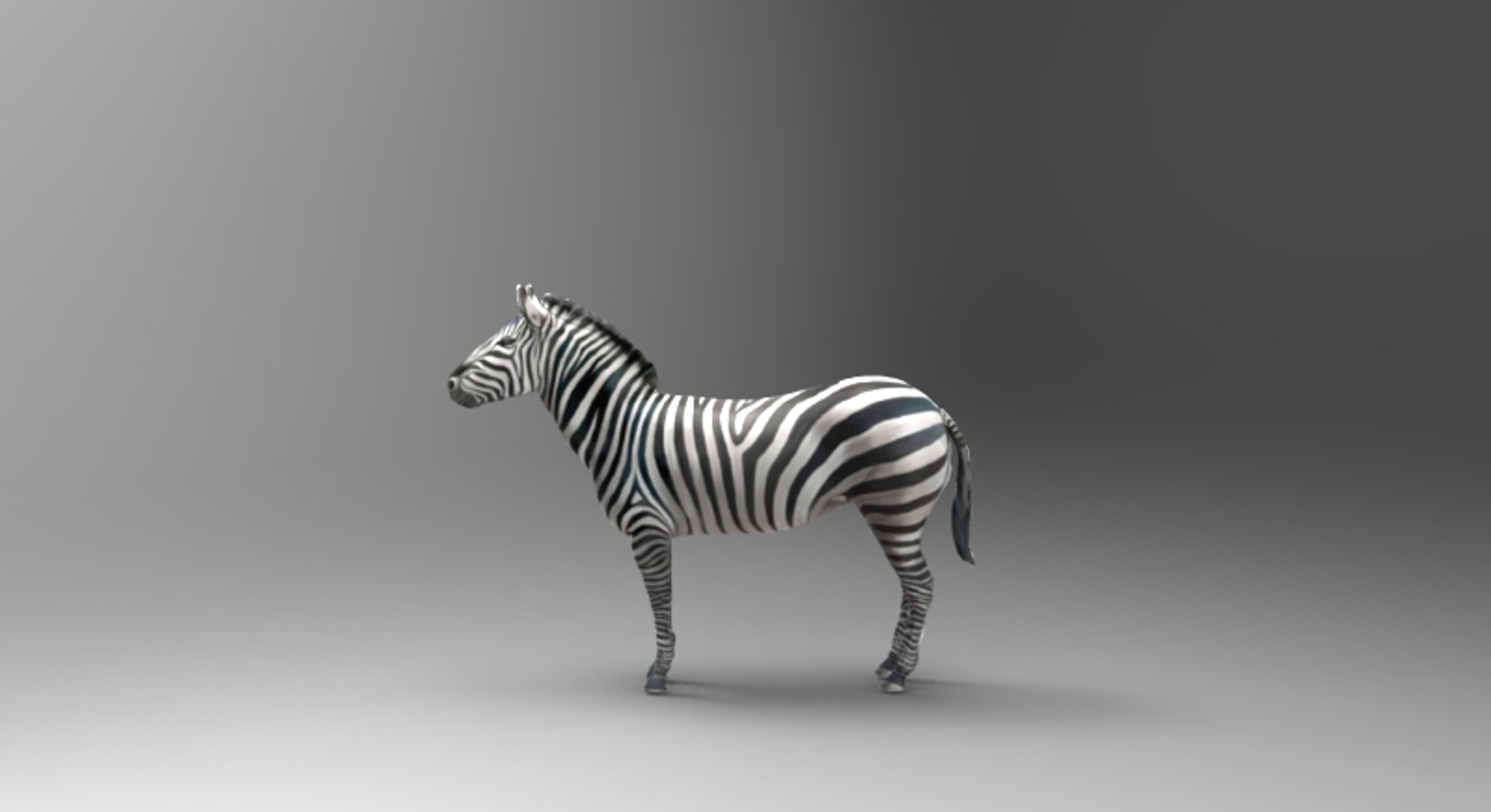 3d Obj Zebra Comes Extensions