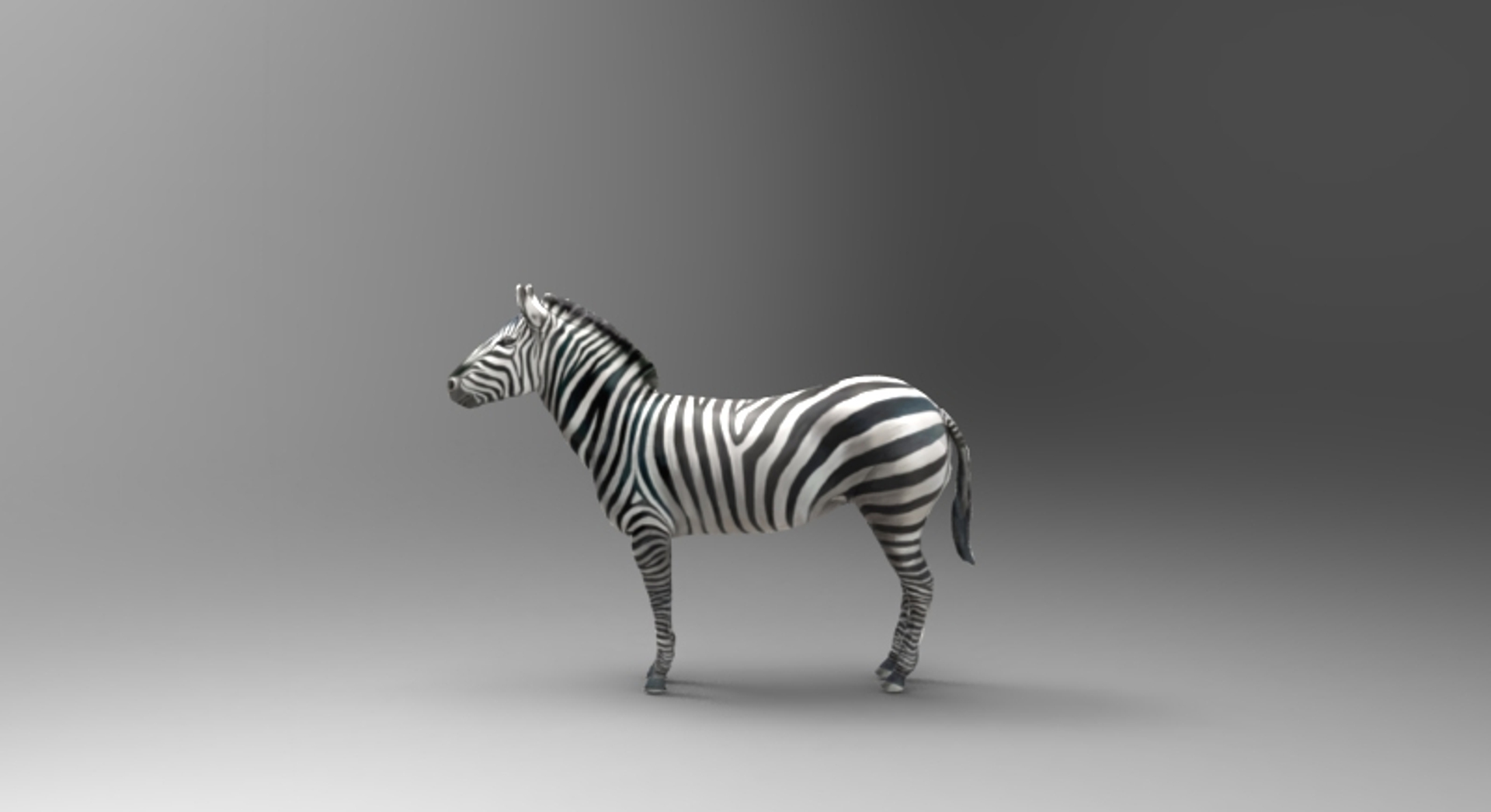3d Obj Zebra Comes Extensions