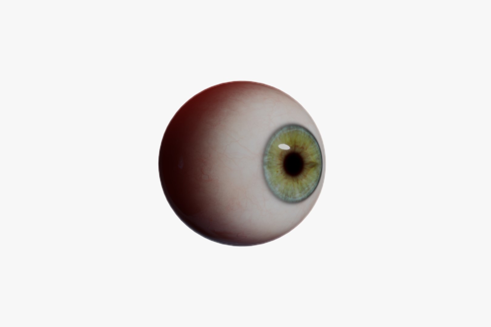 3D Model Realistic Human Eye Iris - TurboSquid 1425654