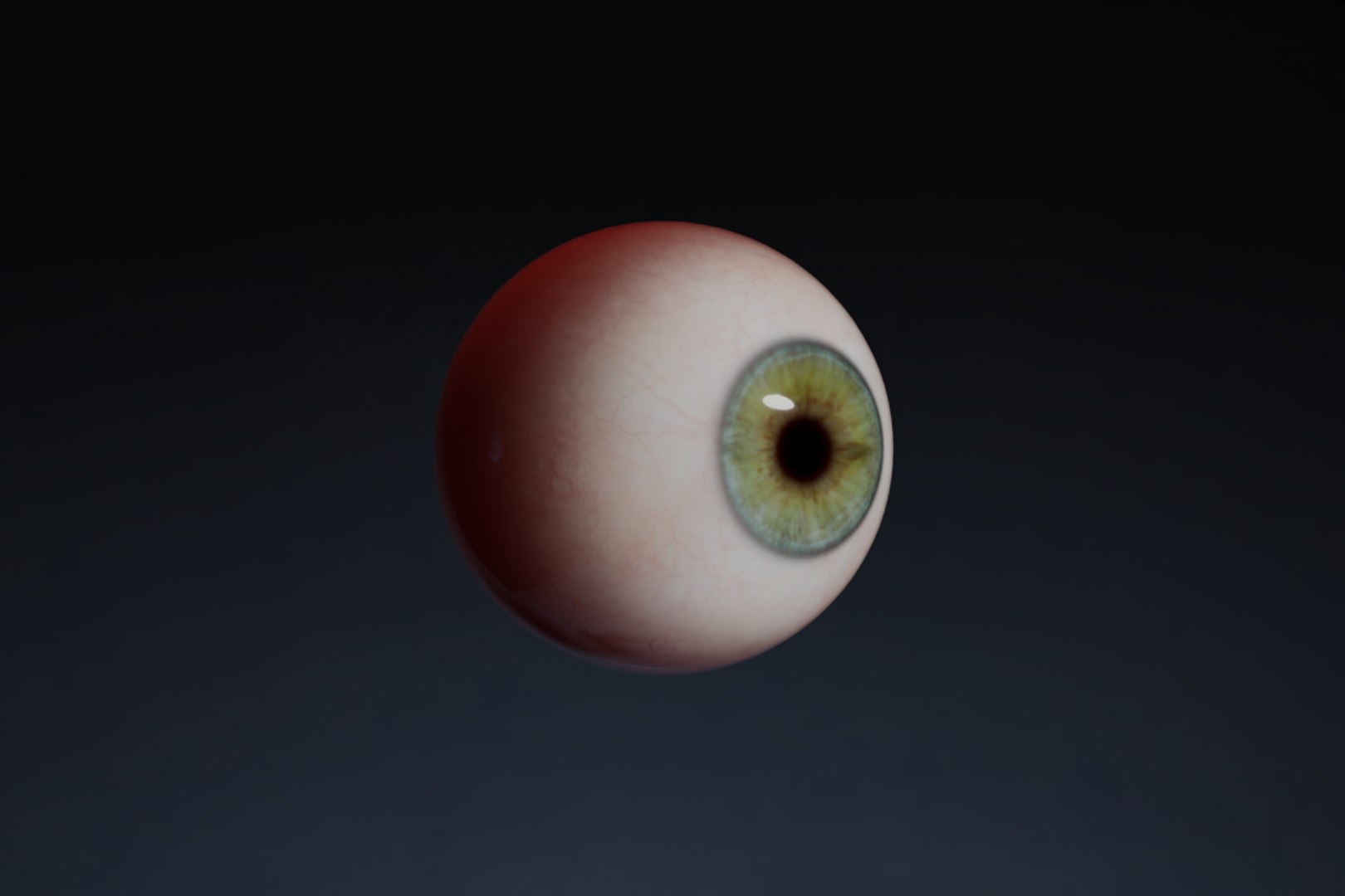 3D Model Realistic Human Eye Iris - TurboSquid 1425654