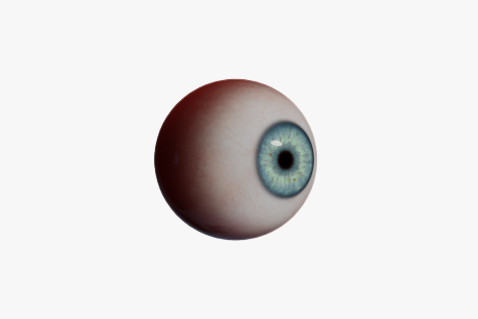 3D Model Realistic Human Eye Iris - TurboSquid 1425654
