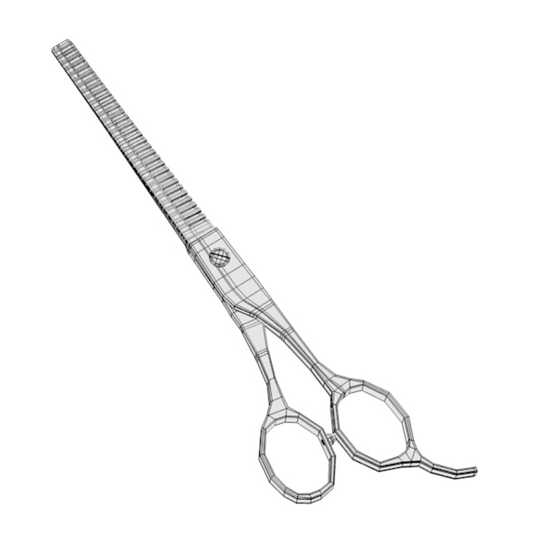 Hair Scissors Set 3d Model