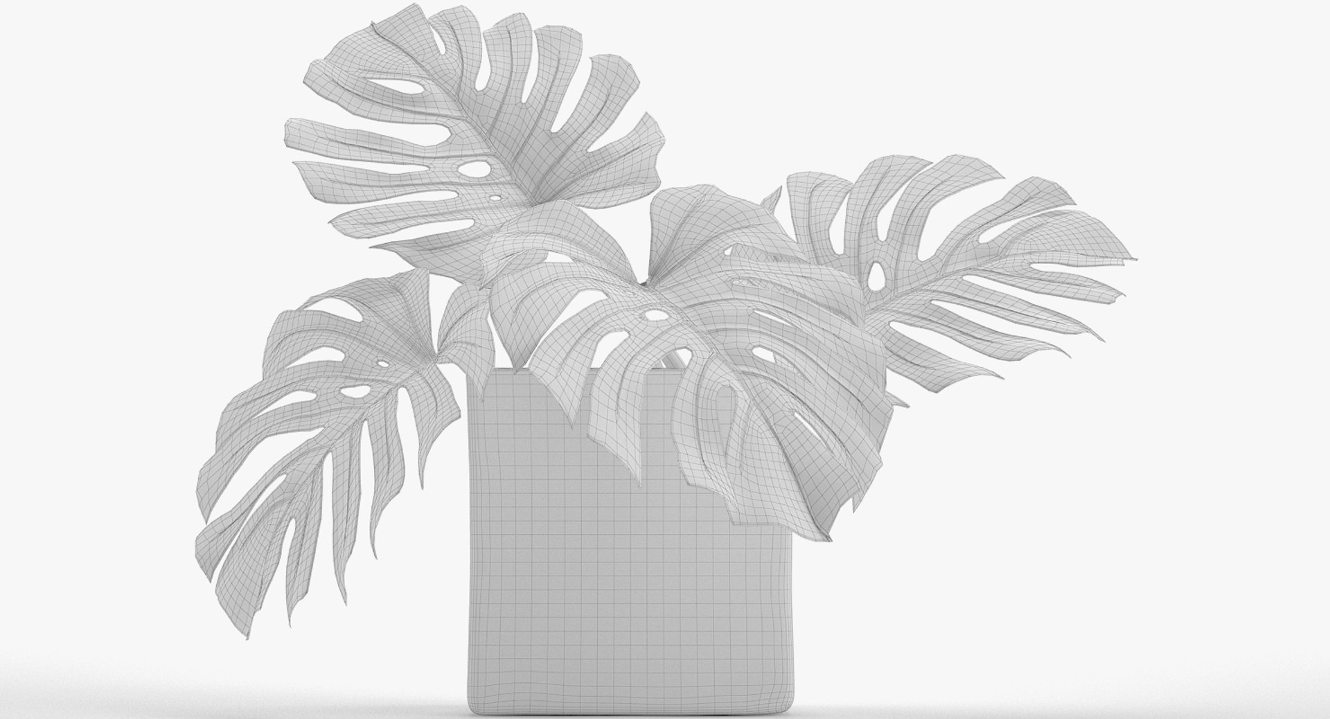 3D monstera leaves model - TurboSquid 1282788