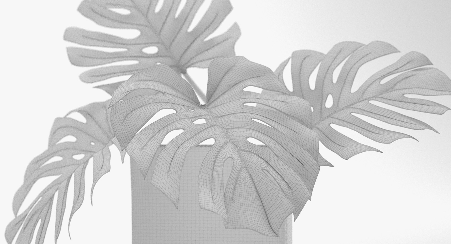 3D monstera leaves model - TurboSquid 1282788