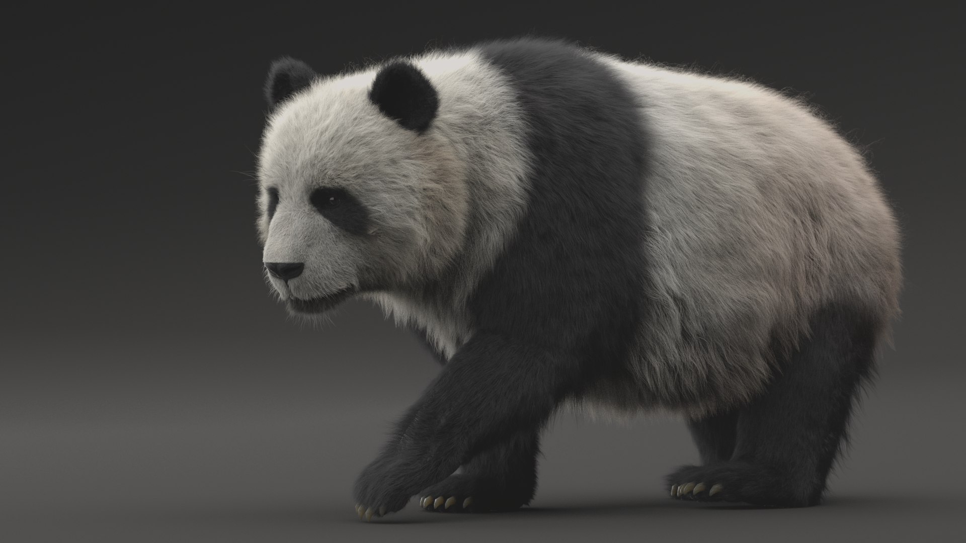 3D Giant Panda ANIMATED - TurboSquid 1857621