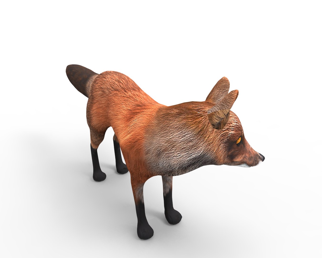3D Fox Rigged Animation - TurboSquid 1206975