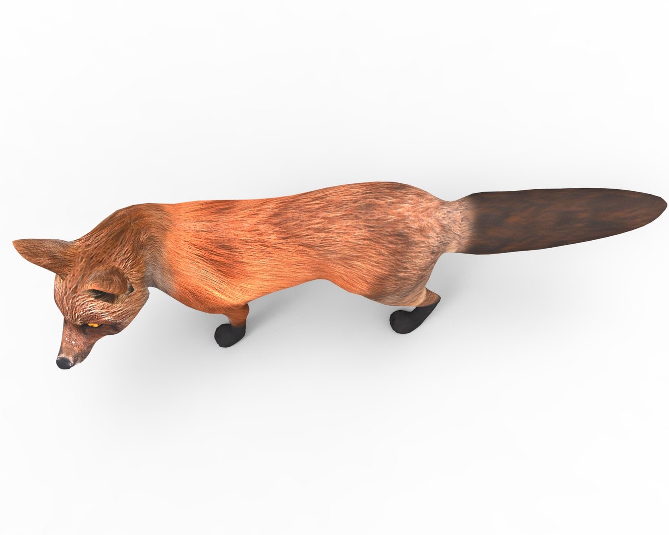 3D Fox Rigged Animation - TurboSquid 1206975