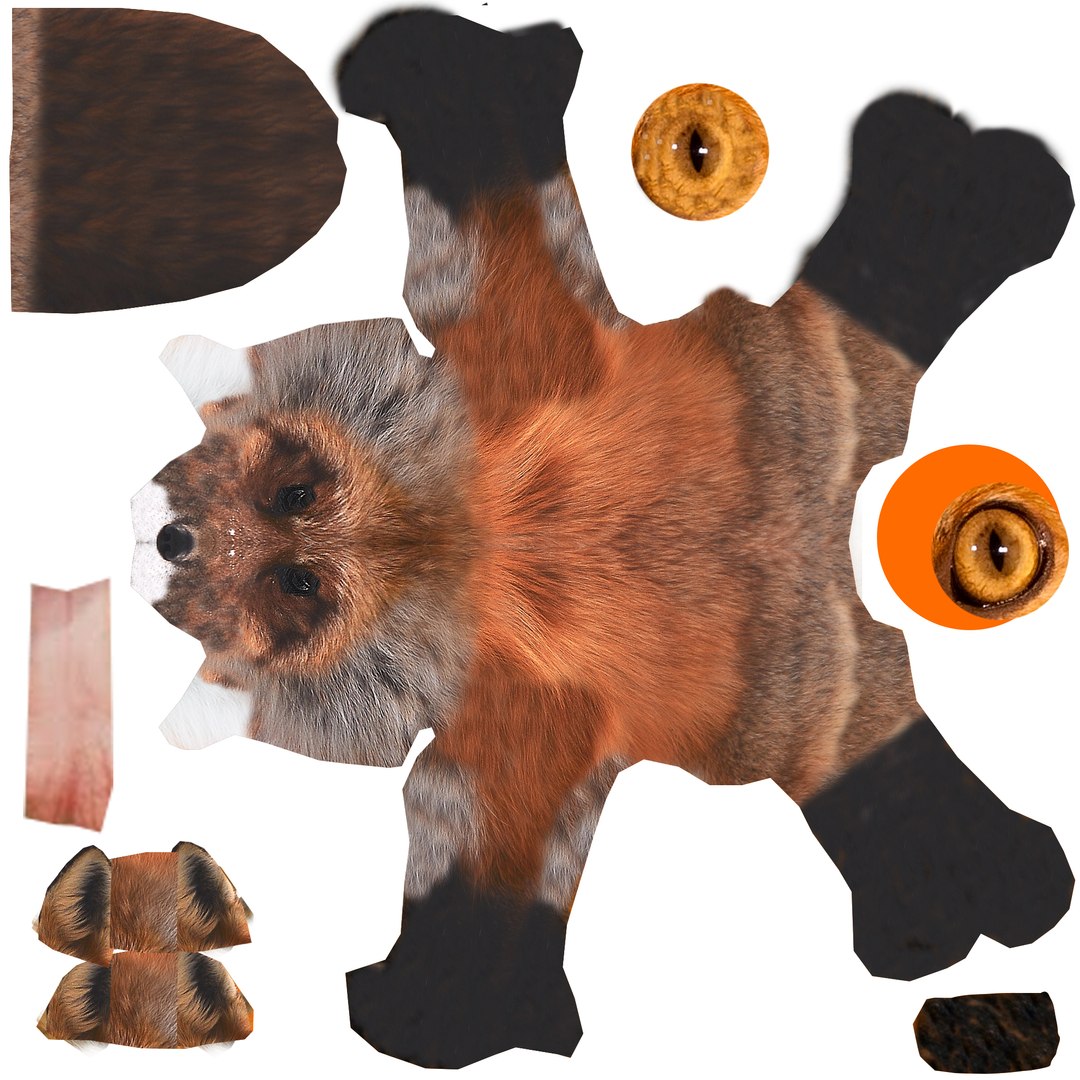 3D Fox Rigged Animation - TurboSquid 1206975
