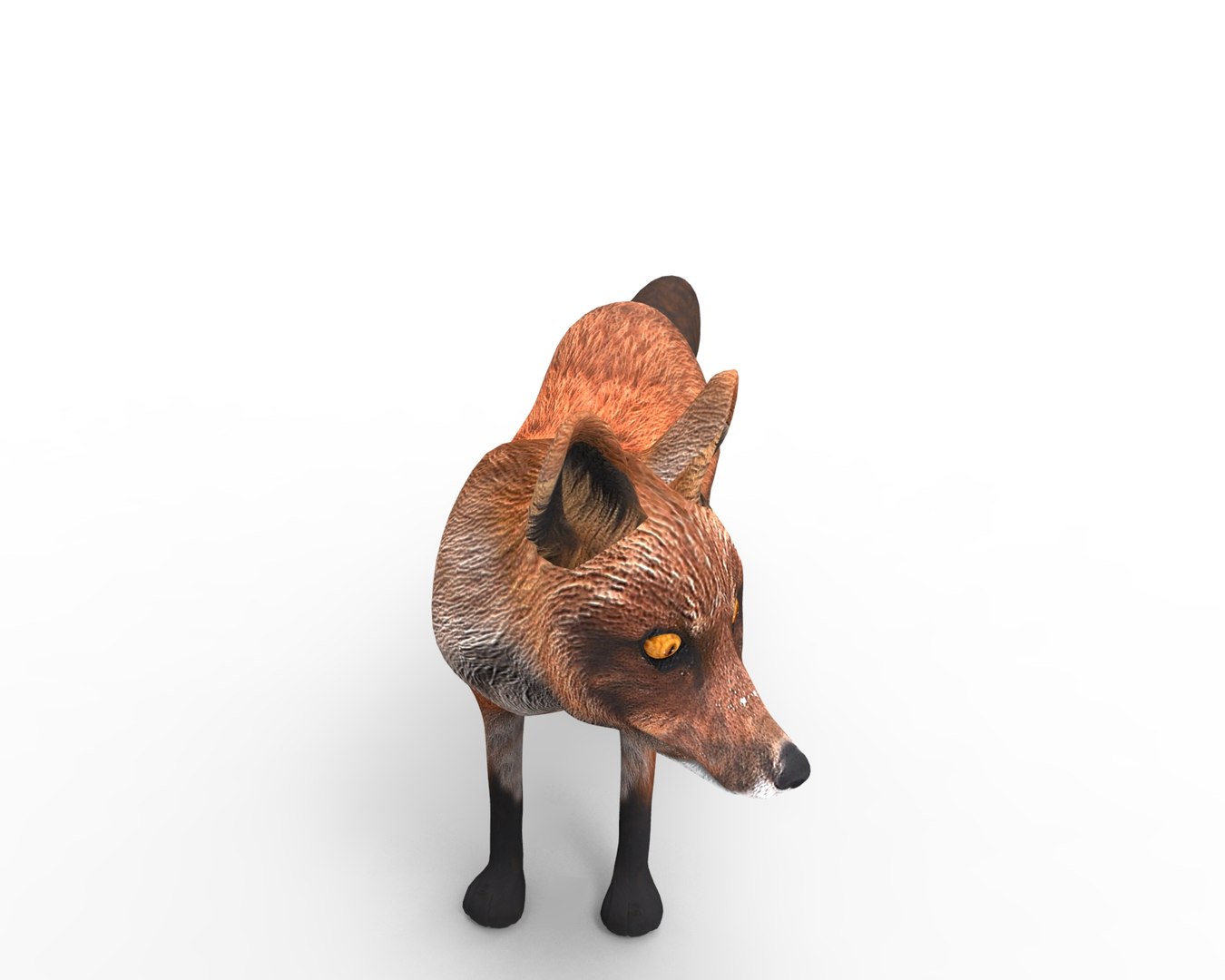 3D Fox Rigged Animation - TurboSquid 1206975