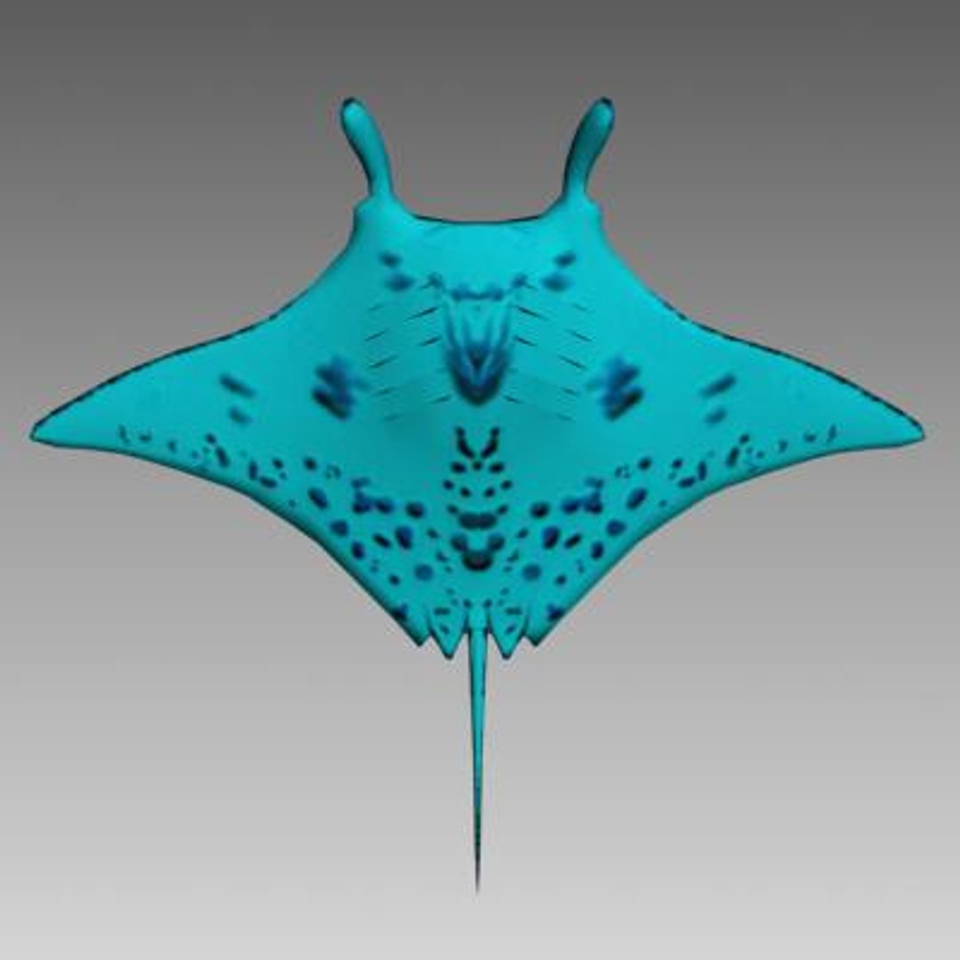Manta Polygonal Realtime 3d 3ds