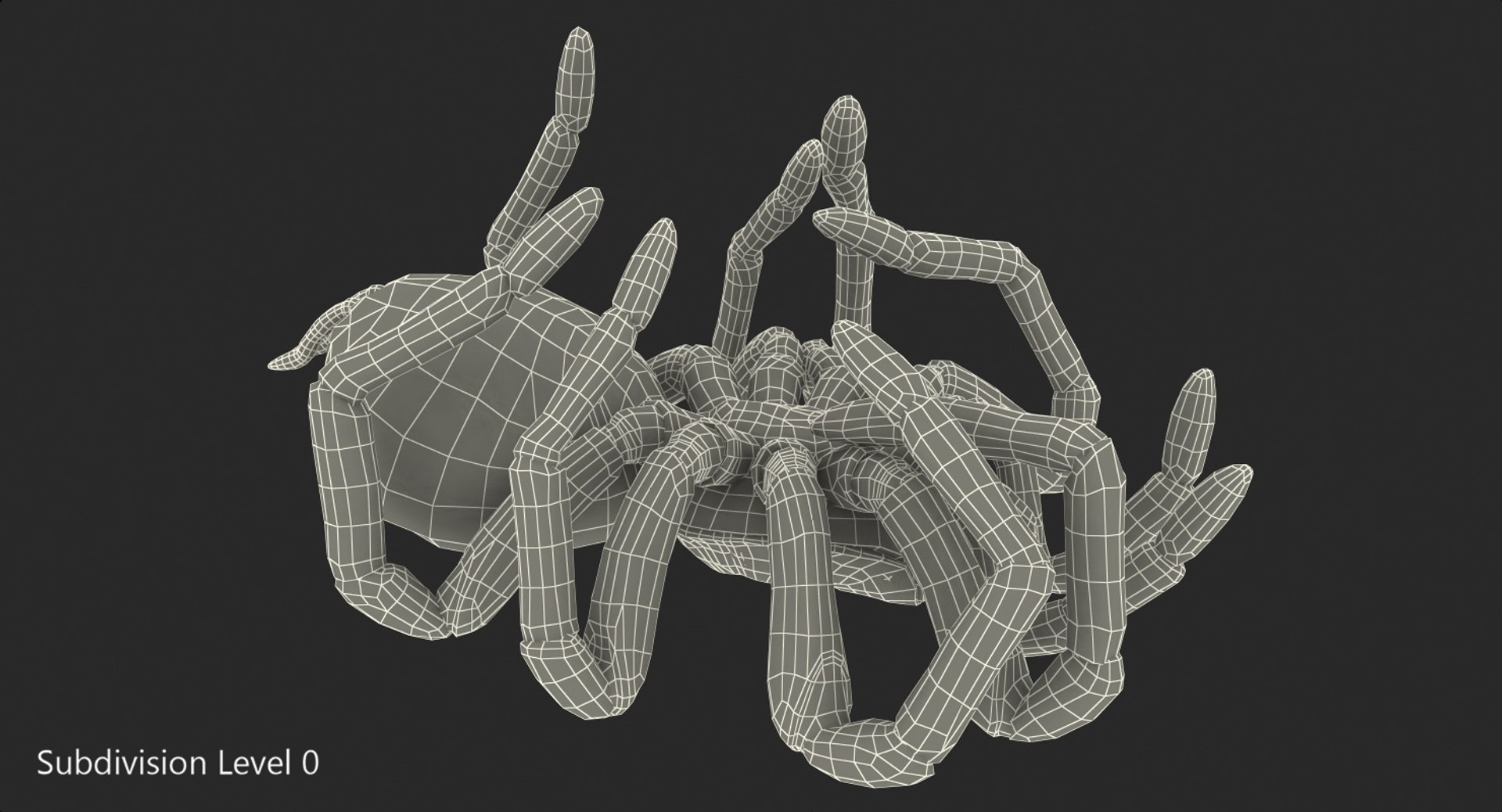 3D Model Goliath Birdeater Dead Pose - TurboSquid 1256240