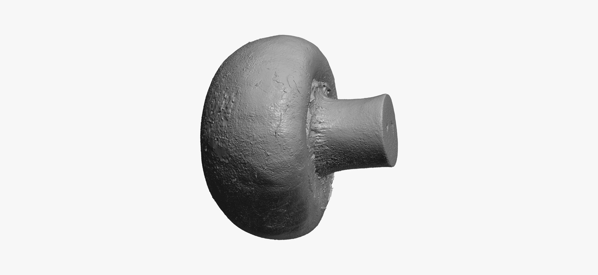 3D white button mushroom 05 model - TurboSquid 1665504