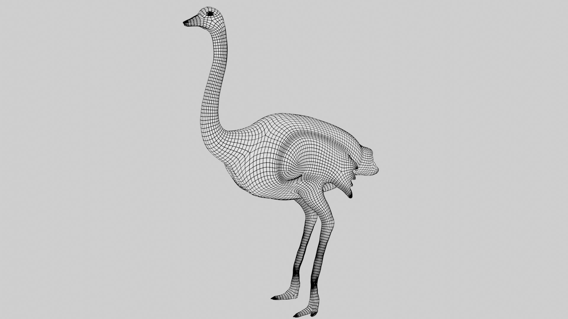 Ostrich Rigged 3D Model - TurboSquid 1661442