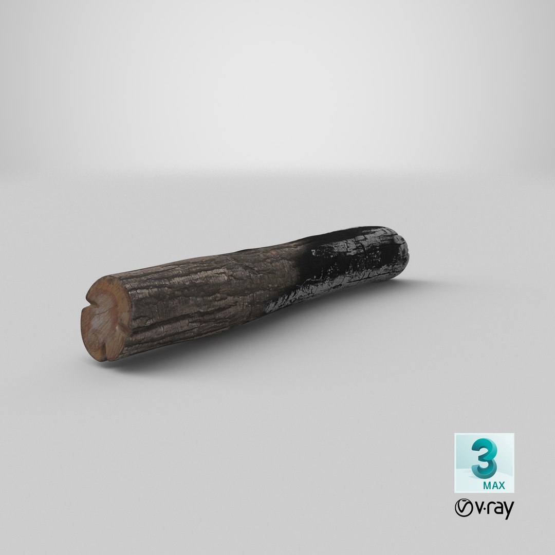 Charred Log 3d Model