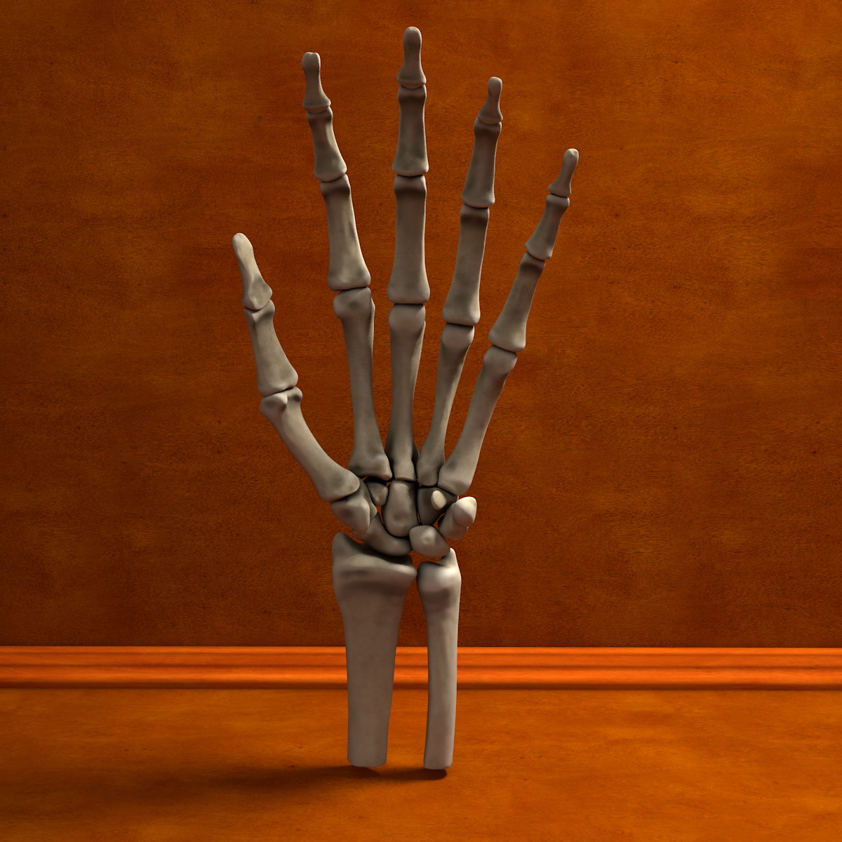 3d model human hand