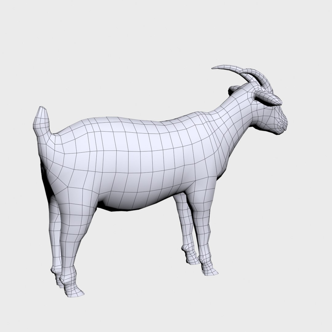 3D Goat Base - TurboSquid 1396436