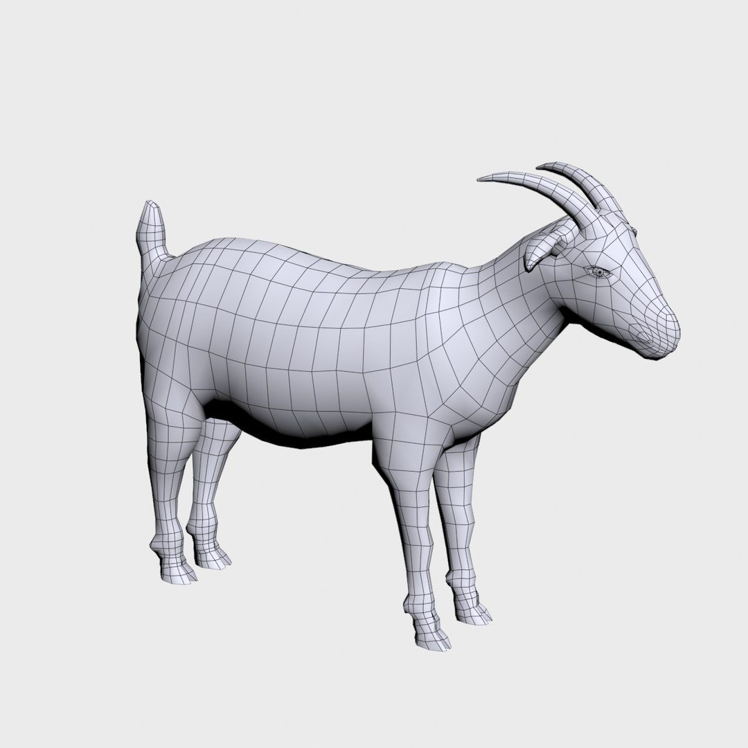 3D Goat Base - TurboSquid 1396436