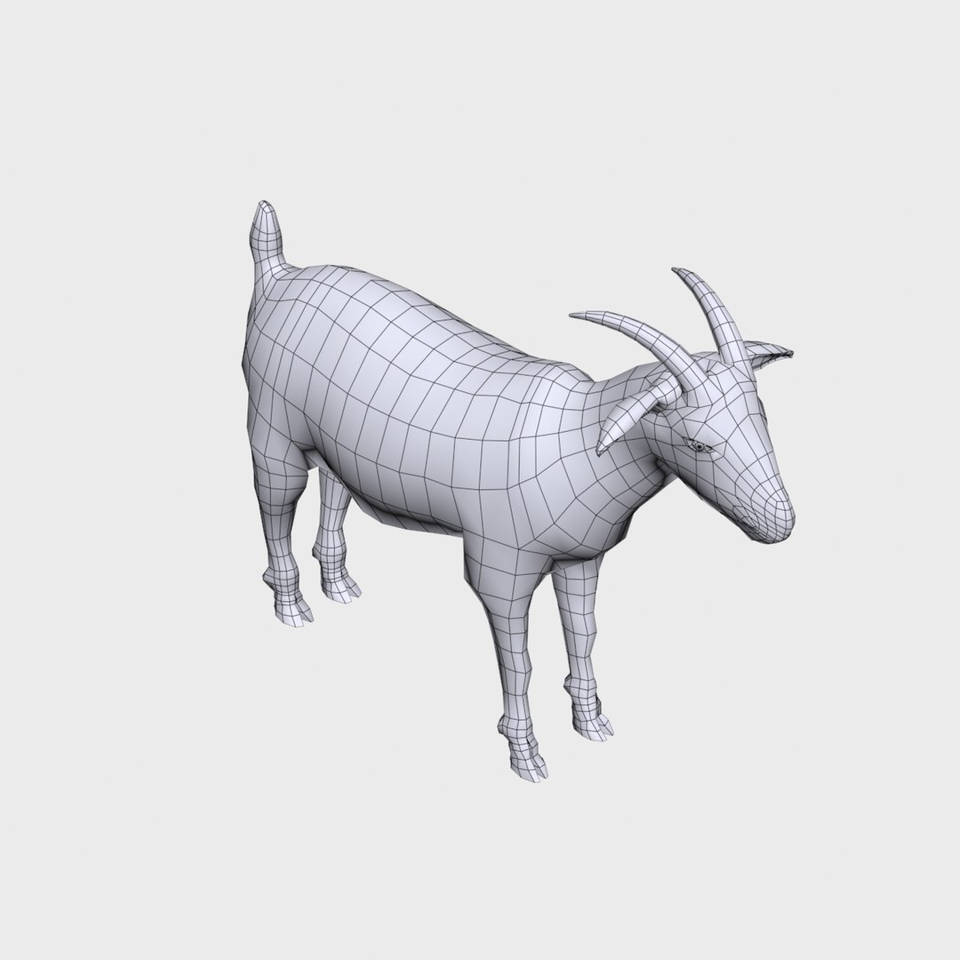 3D Goat Base - TurboSquid 1396436