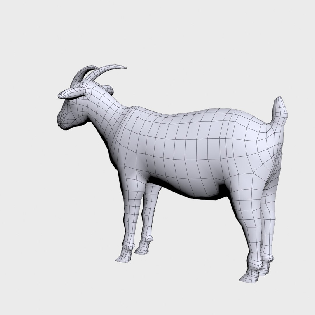 3D Goat Base - TurboSquid 1396436