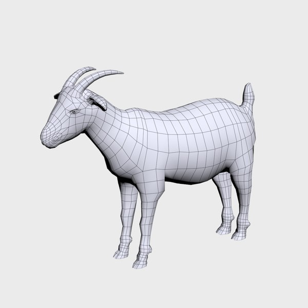 3D goat base - TurboSquid 1396436