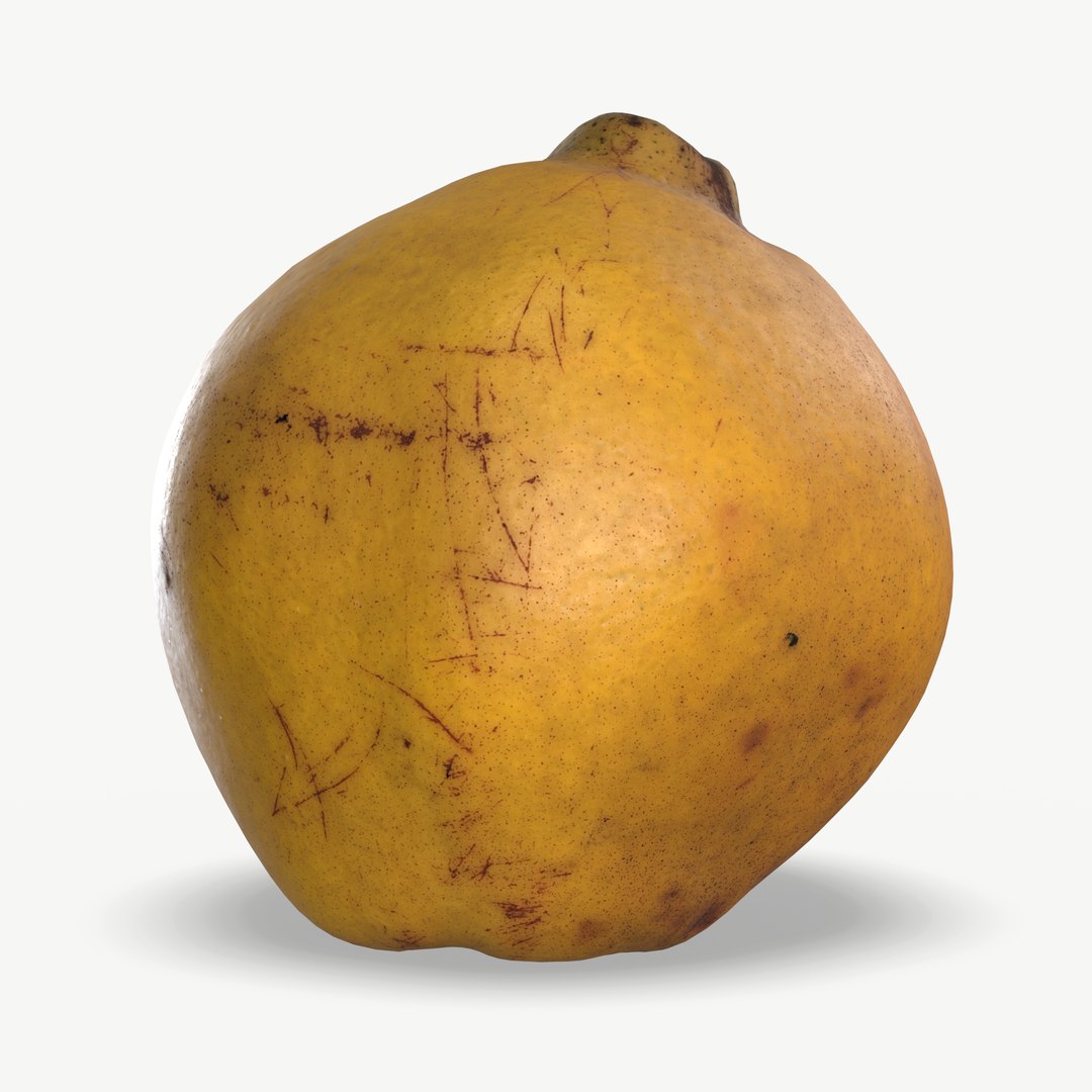 High Quality Scan Quince 3D Model - TurboSquid 2187352