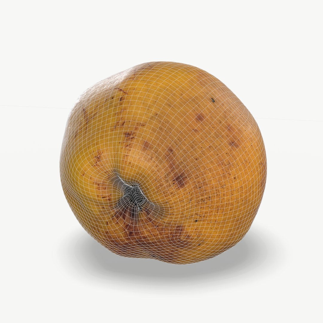 High Quality Scan Quince 3D Model - TurboSquid 2187352