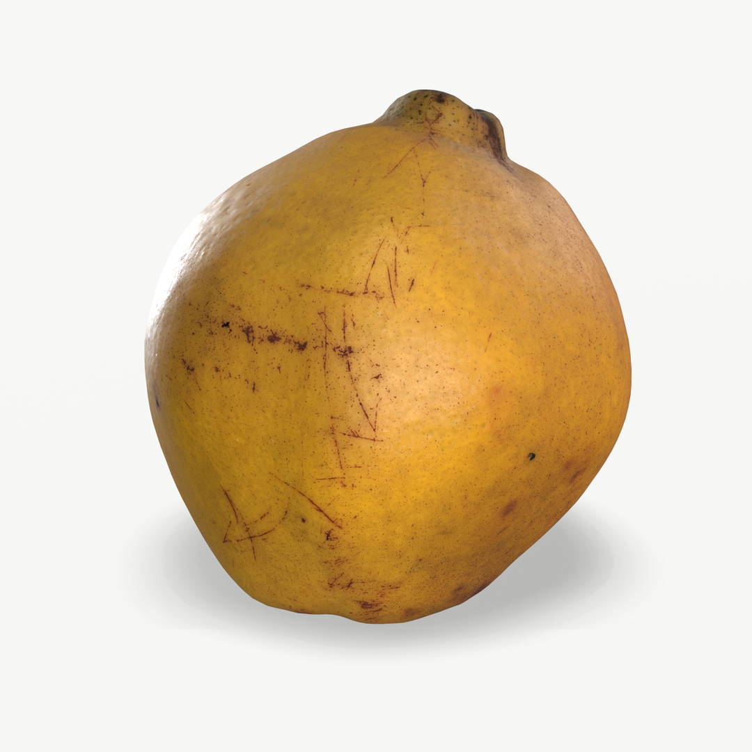 High Quality Scan Quince 3D Model - TurboSquid 2187352