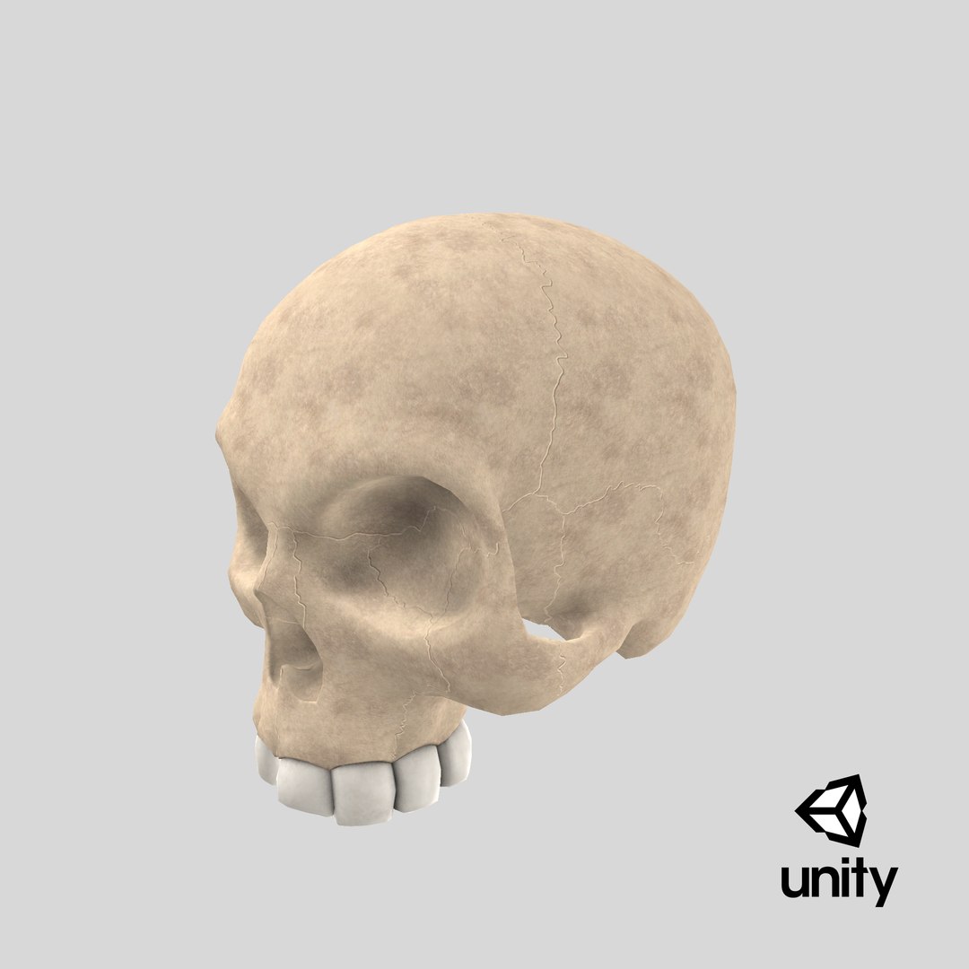 Stylized Skull model - TurboSquid 1757467