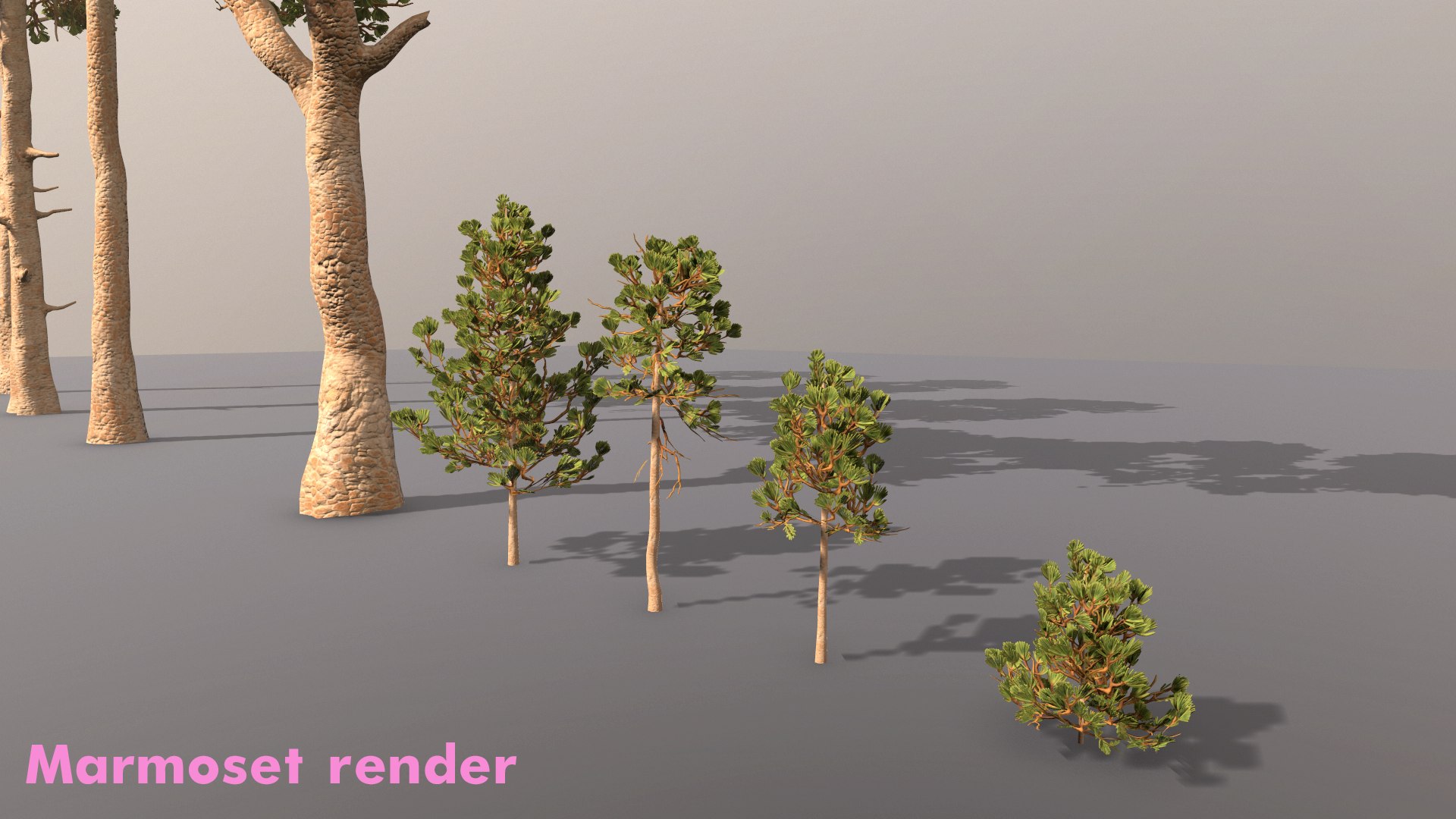 Pine Pack 3D Model - TurboSquid 1808284