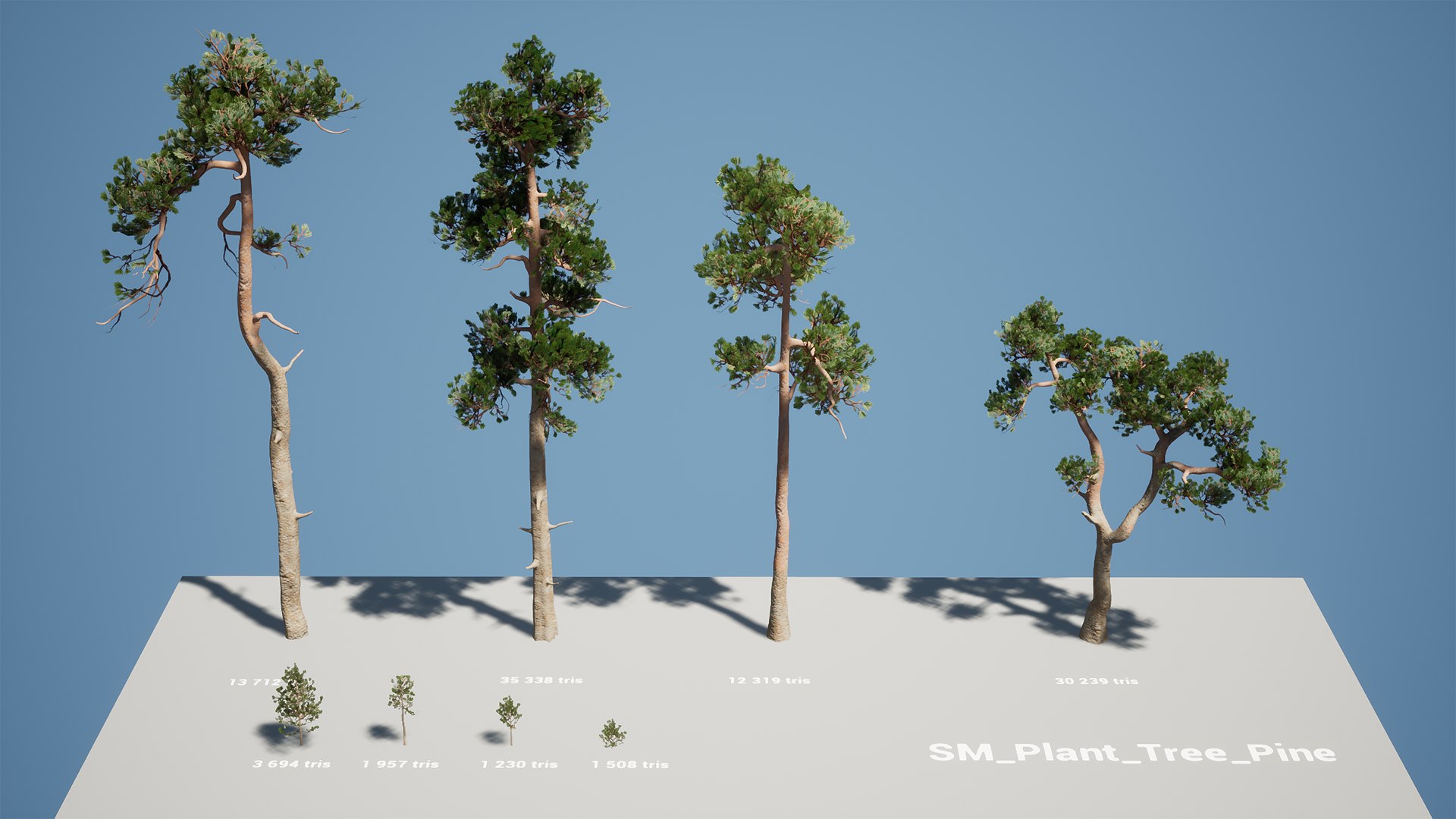 Pine Pack 3D Model - TurboSquid 1808284