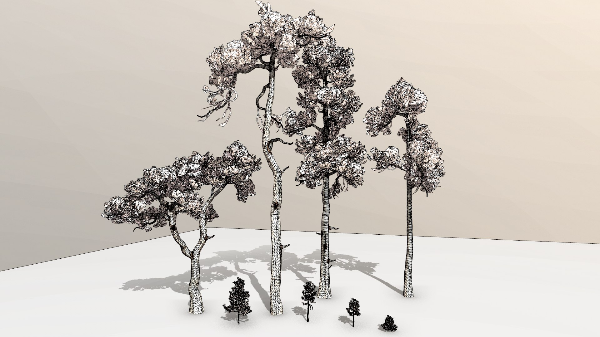 Pine Pack 3D Model - TurboSquid 1808284