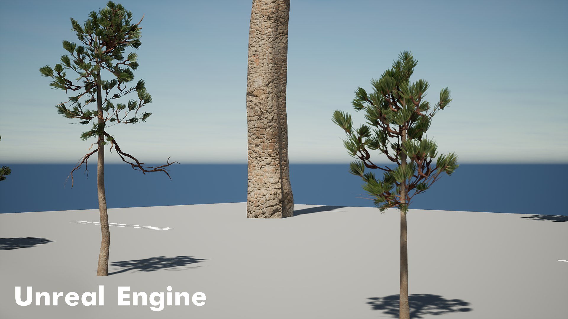 Pine Pack 3D Model - TurboSquid 1808284