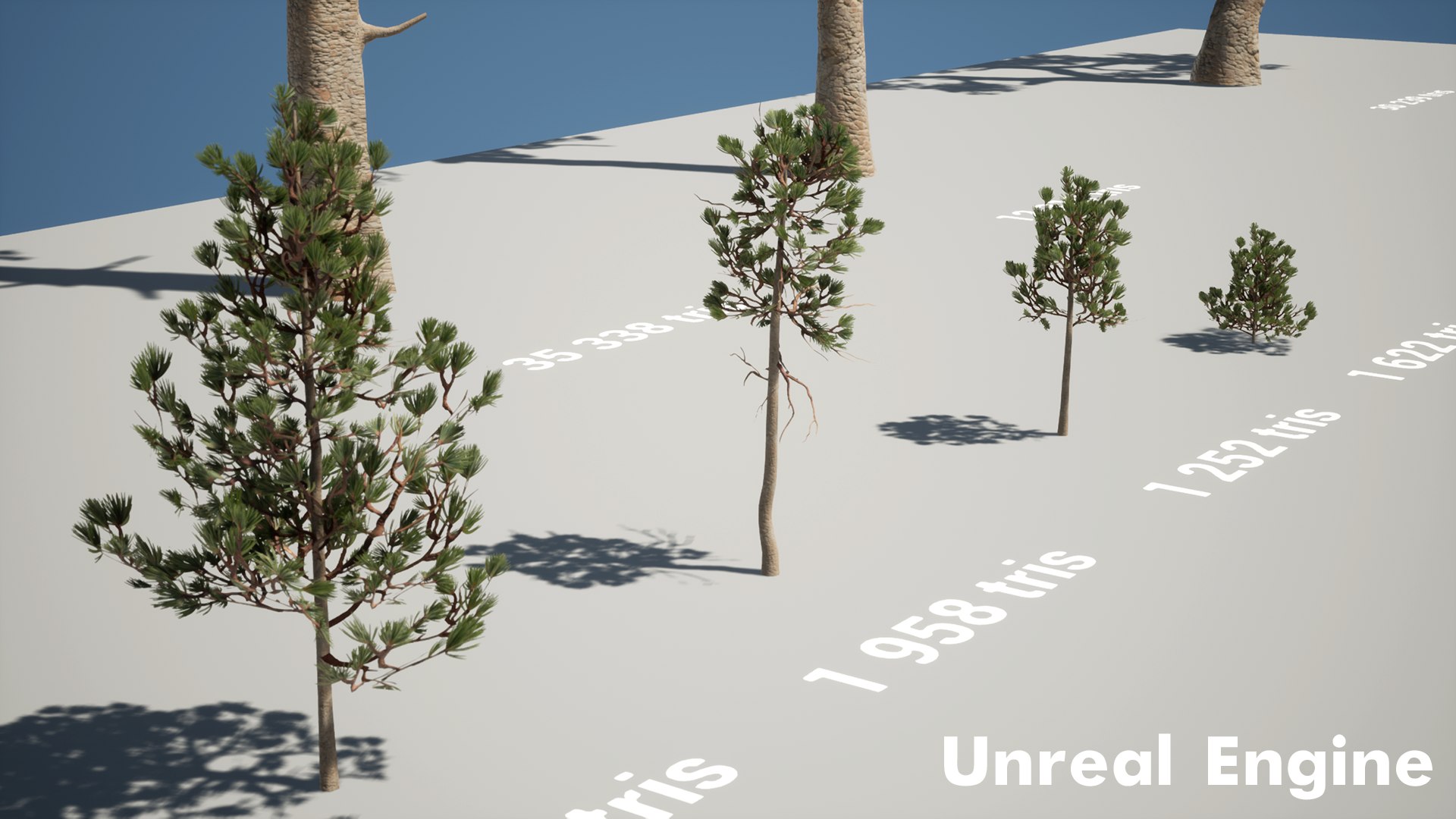 Pine Pack 3D Model - TurboSquid 1808284